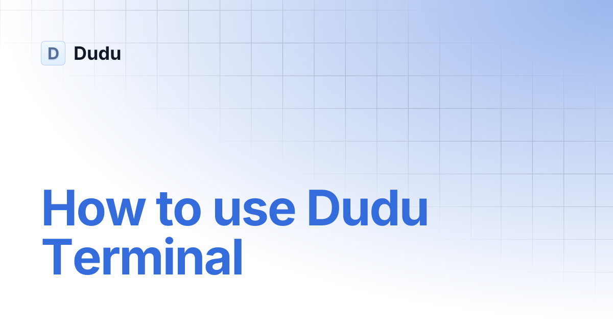 How to use Dudu Terminal | Dudu
